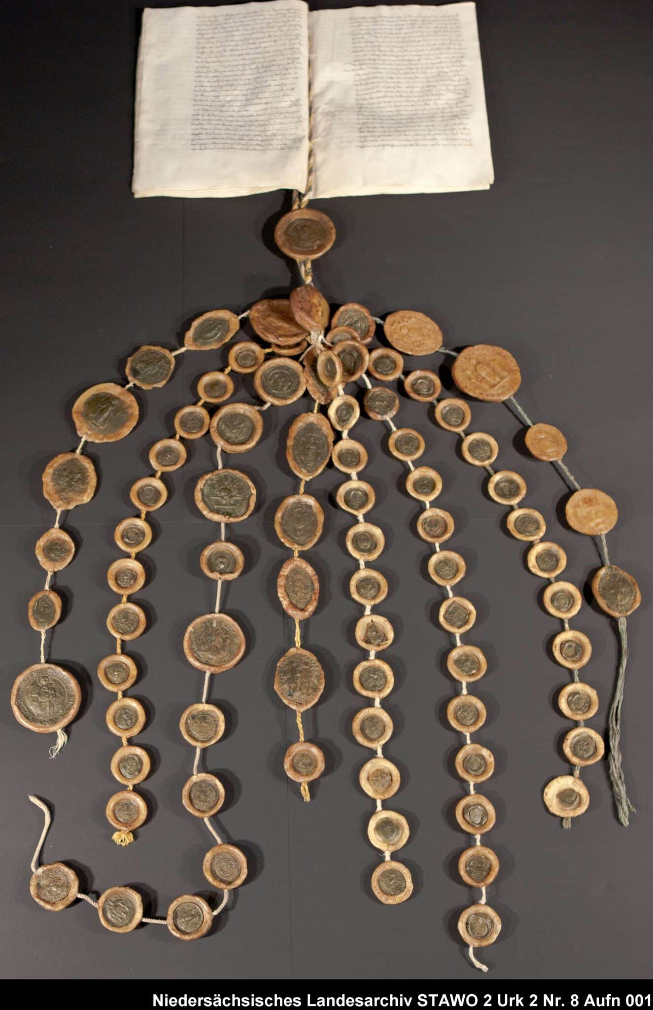 Die Primogenitur und die jüngeren Brüder. Zwei welfische ...